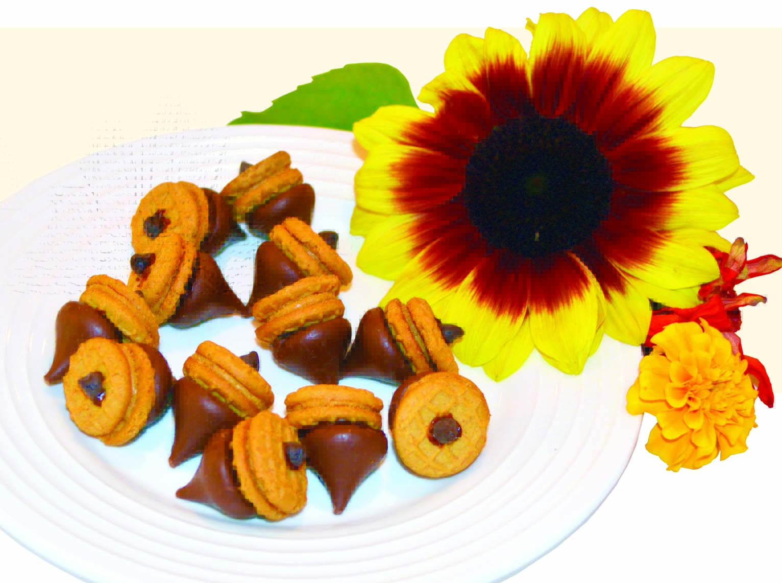 Nutty (Yummy) Fall Acorns - InSuesShoes.com